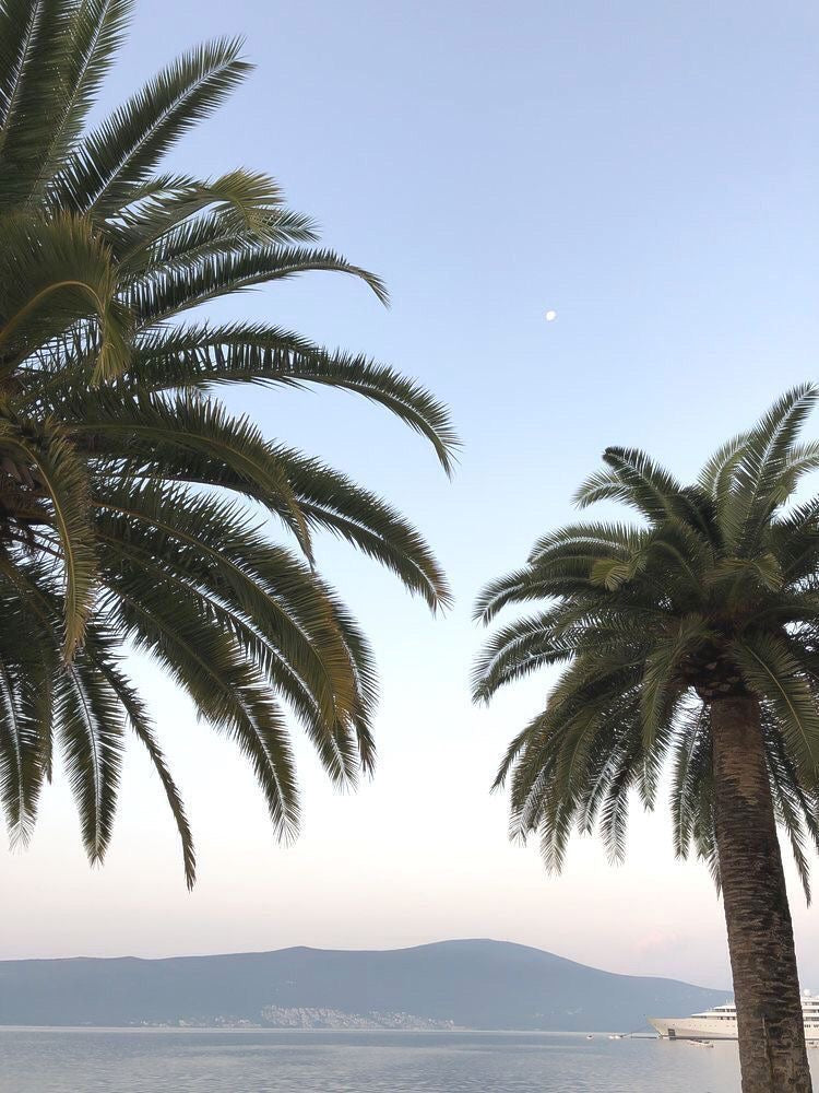 Under the palms collection – Stacked by Vale